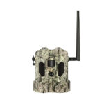 Best 5 Cellular Game Cameras of 2025: Ultimate Guide in Wildlife