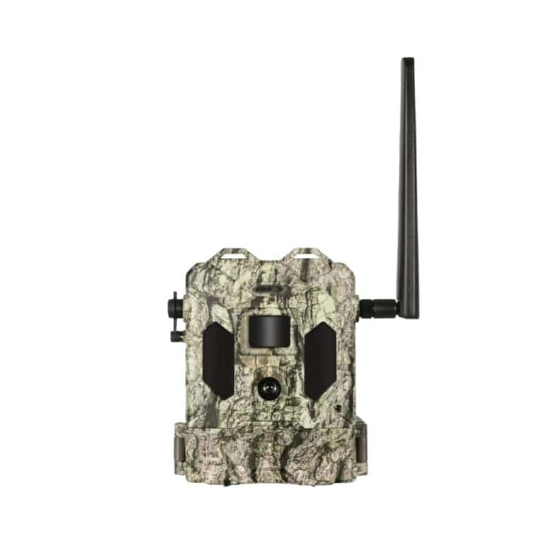 Best 5 Wifi Game Cameras of 2025: Ultimate Guide in Wildlife