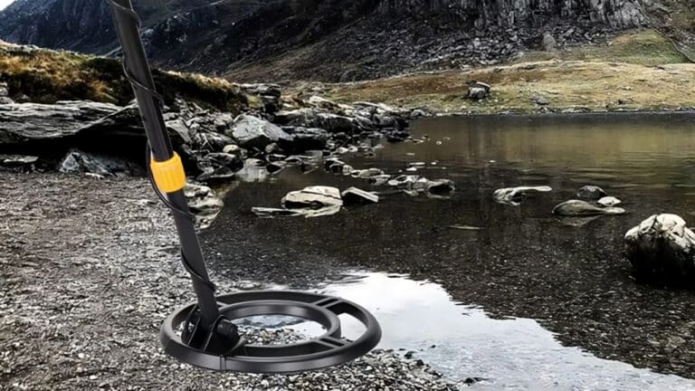 Best 5 Metal Detectors in 2025: Unearthing Treasures