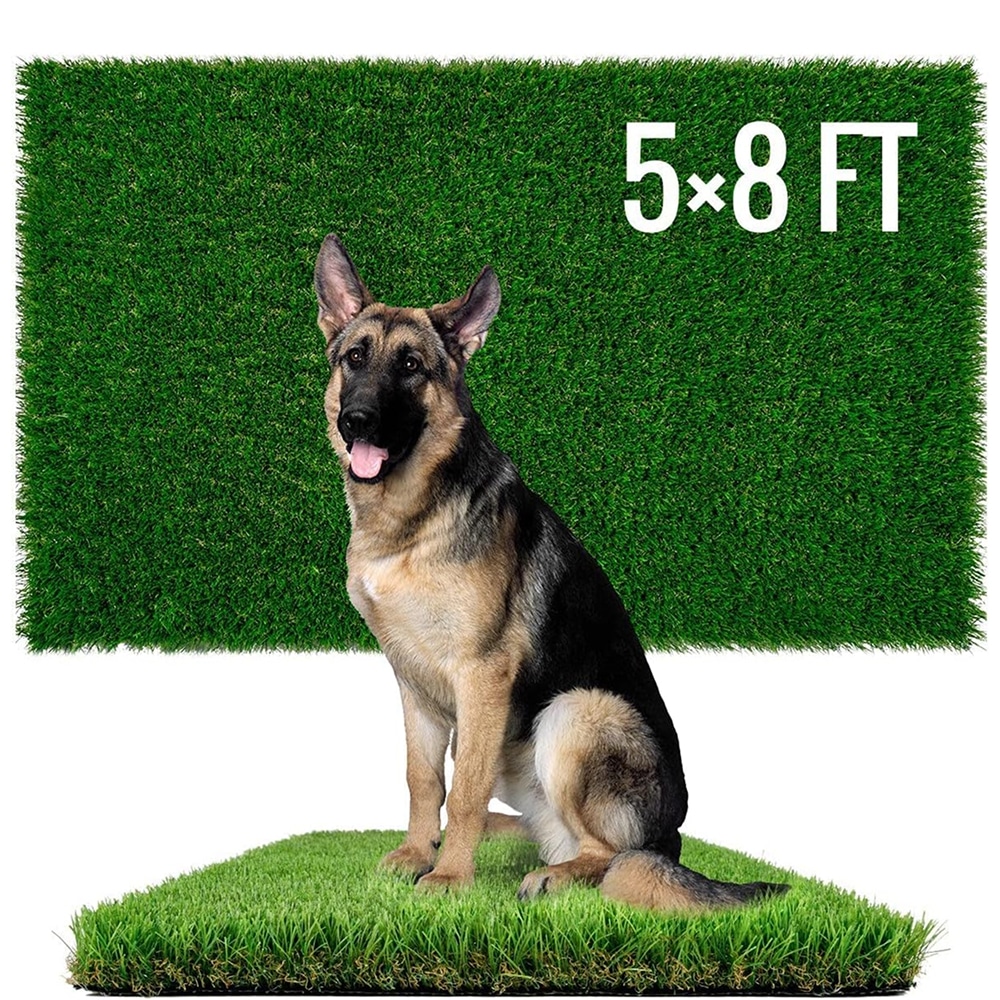 Best 5 Grass Dog Pee Pads of 2025 for Pet Owners