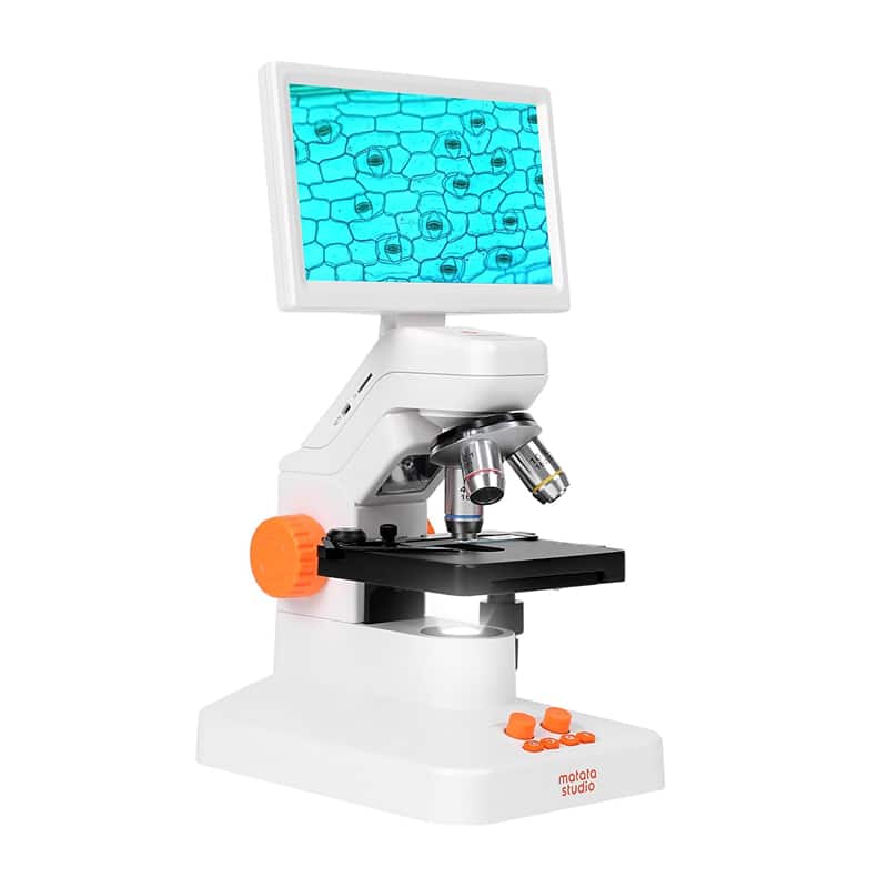 Best 5 Microscopes for Kids of 2025: Ignite Your Child's Scientific ...